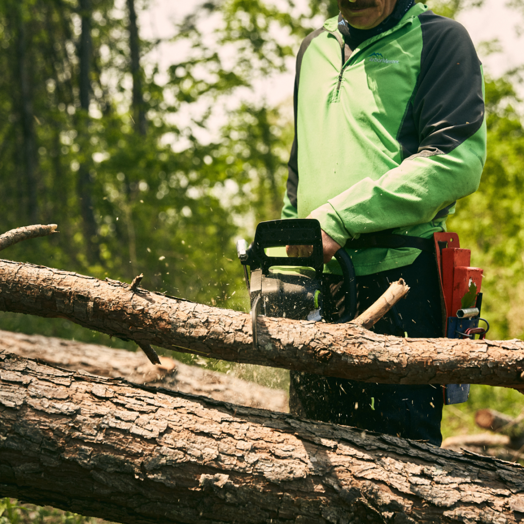 Greenworks Commercial 82CS27 - 2.7kW 18'' Chainsaw - Greenworks Australia